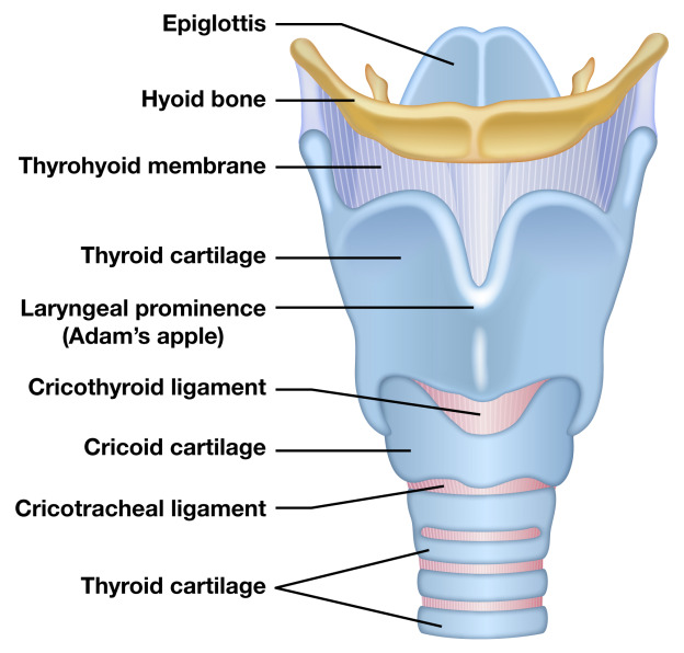 Medical Images Art Science Graphics